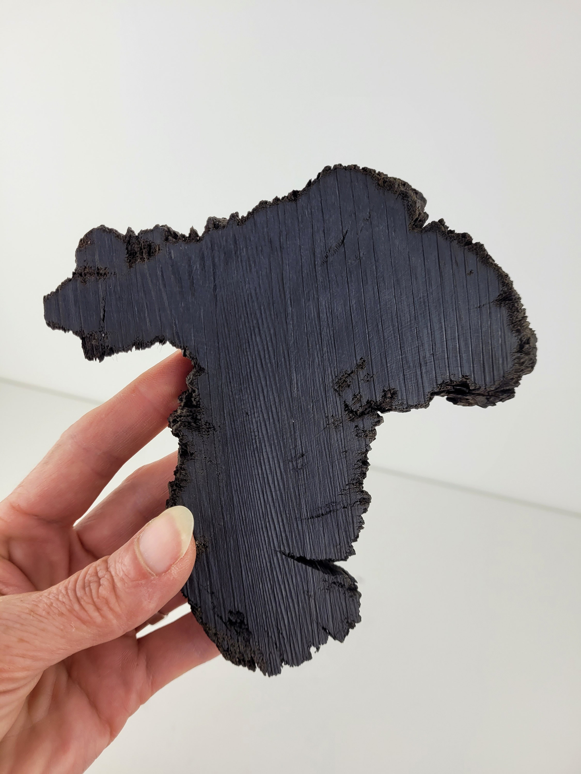 Irish Bog Oak Wood Slab Irregular Shape Bog Oak Wood Slice - Etsy