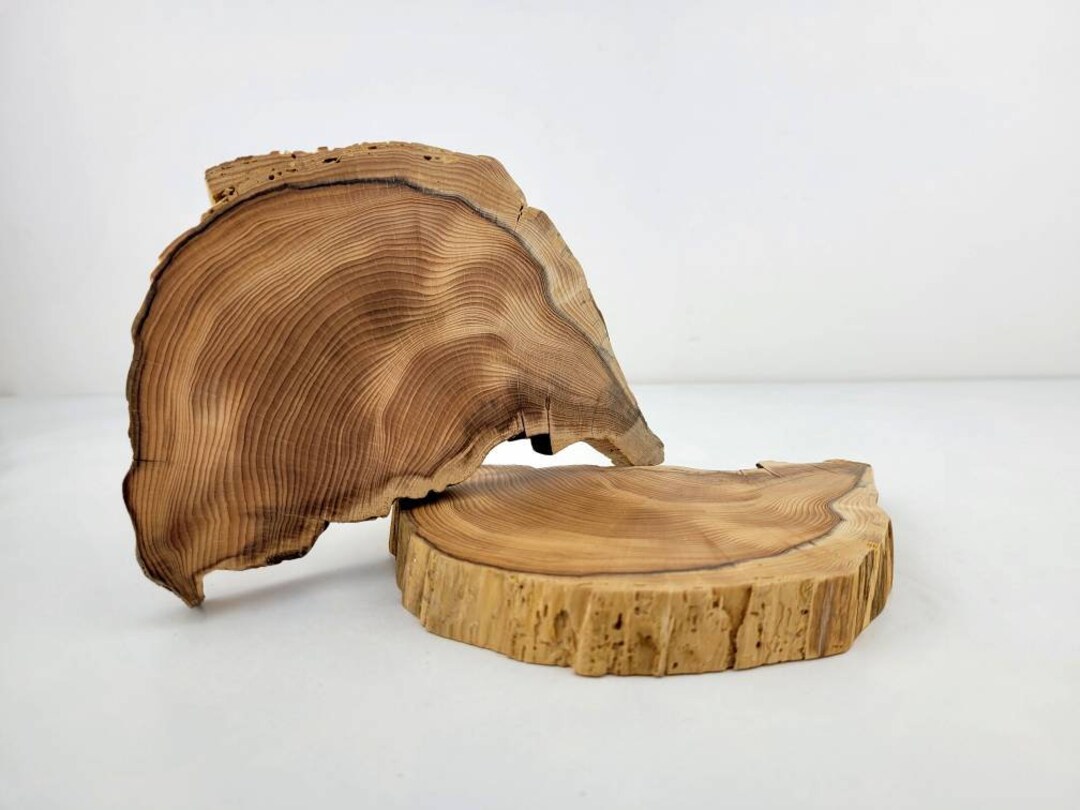 Yew Wood Slices Natural Yew Half Rounds Witch Craft Ritual - Etsy