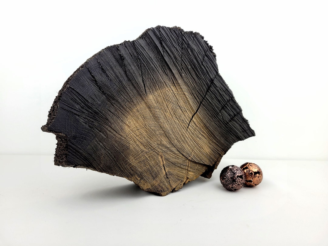 Chunky Natural Bog Oak Wood Ancient Wood Morta Abonus - Etsy