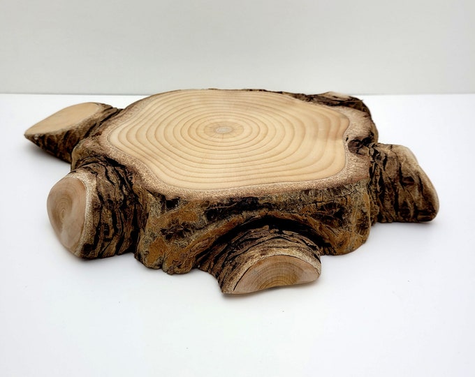 Natural Tree Stump Slab, Table Top Centerpiece, Decorative Wood Round ...