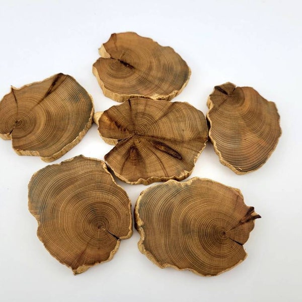 Irregular Wood Slice - Etsy