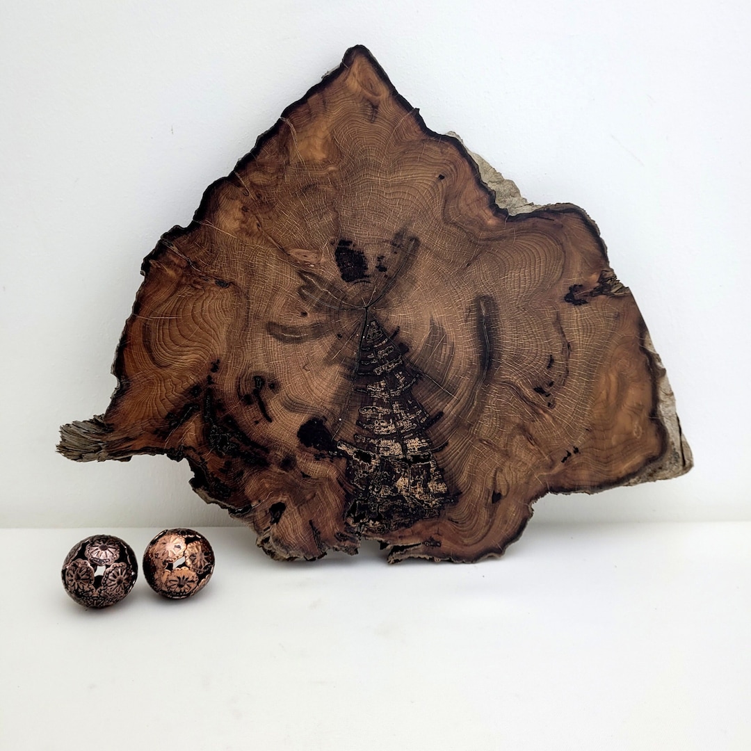 Irish Bog Yew Wood Slice 3000-8000 Years Old Rare Heritage Redwood - Etsy