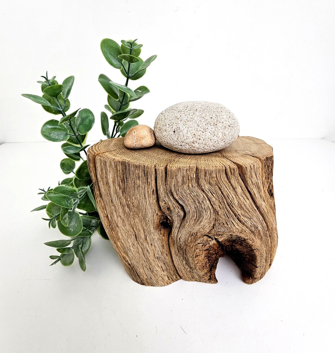 Real Wood Small Tree Stump Woodland Decor Forest Fairy Garden Display ...