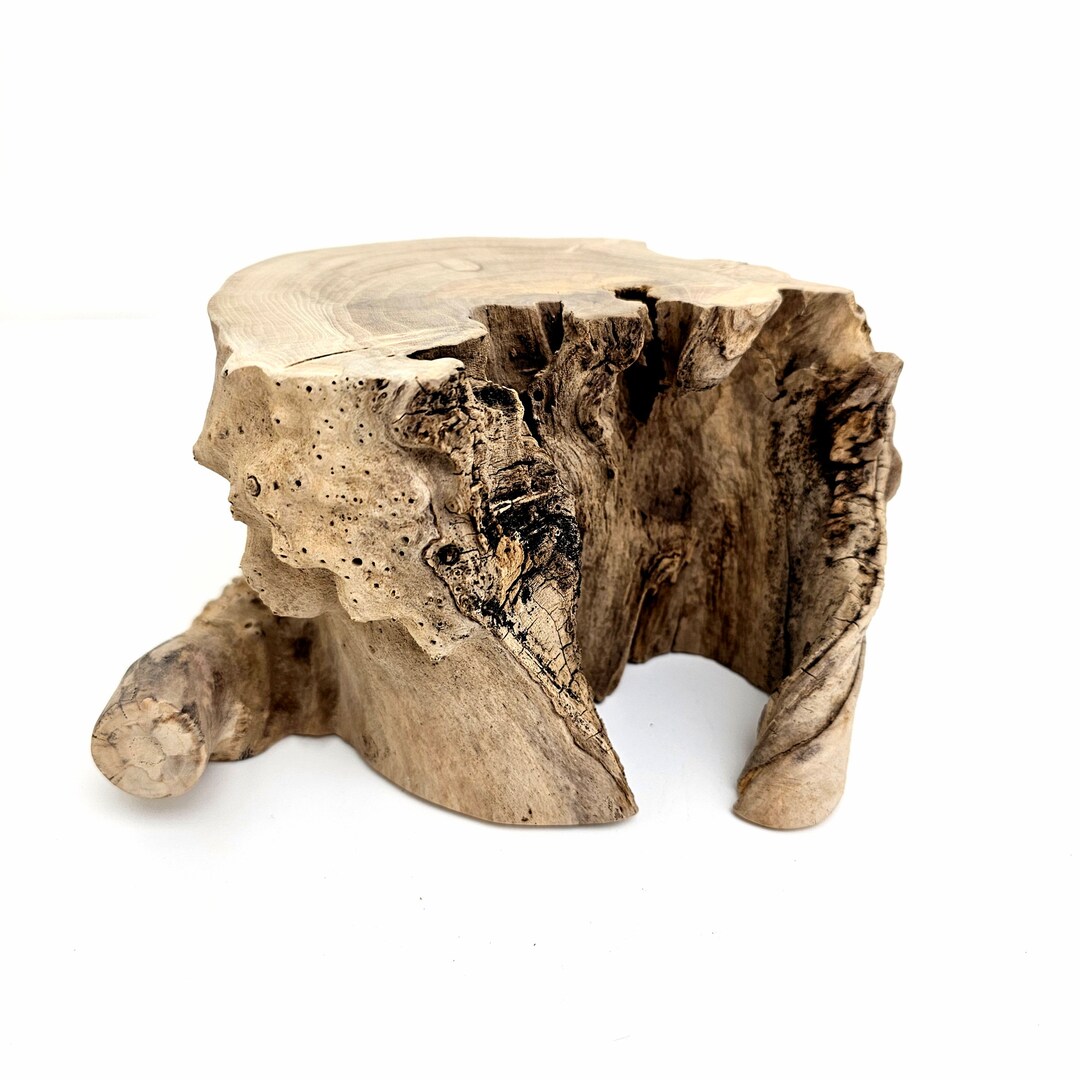 Natural Elder Tree Stump, Small Raw Wood Log, Decorative Hollow Wood ...