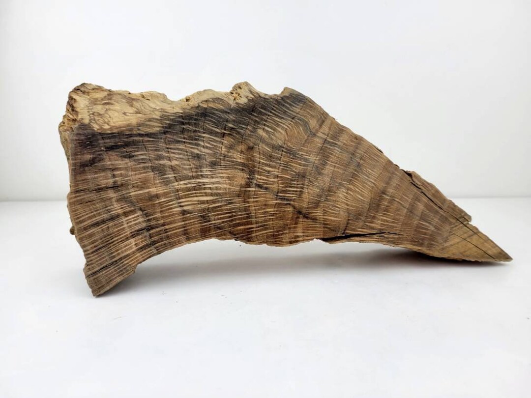Rustic Wood Chunk From Burl Oak Wood, Photography Prop, Product Display ...