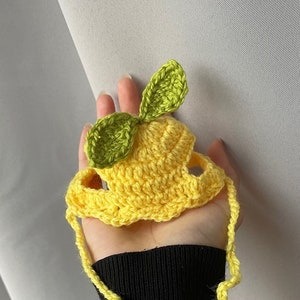 Crochet Lemon Hat for Cats - Etsy UK