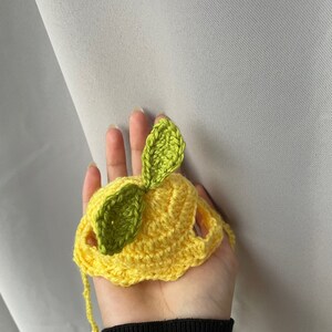 Crochet Lemon Hat for Cats - Etsy UK