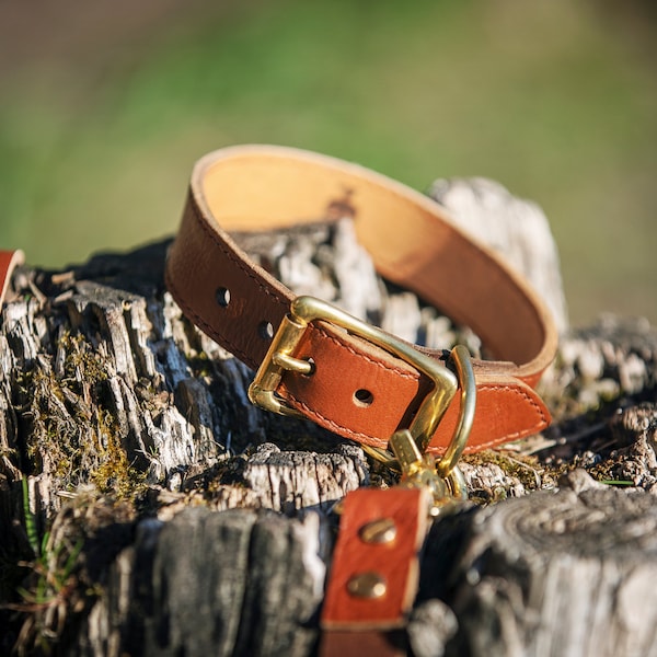 Solid Brown Dog Collar - Etsy