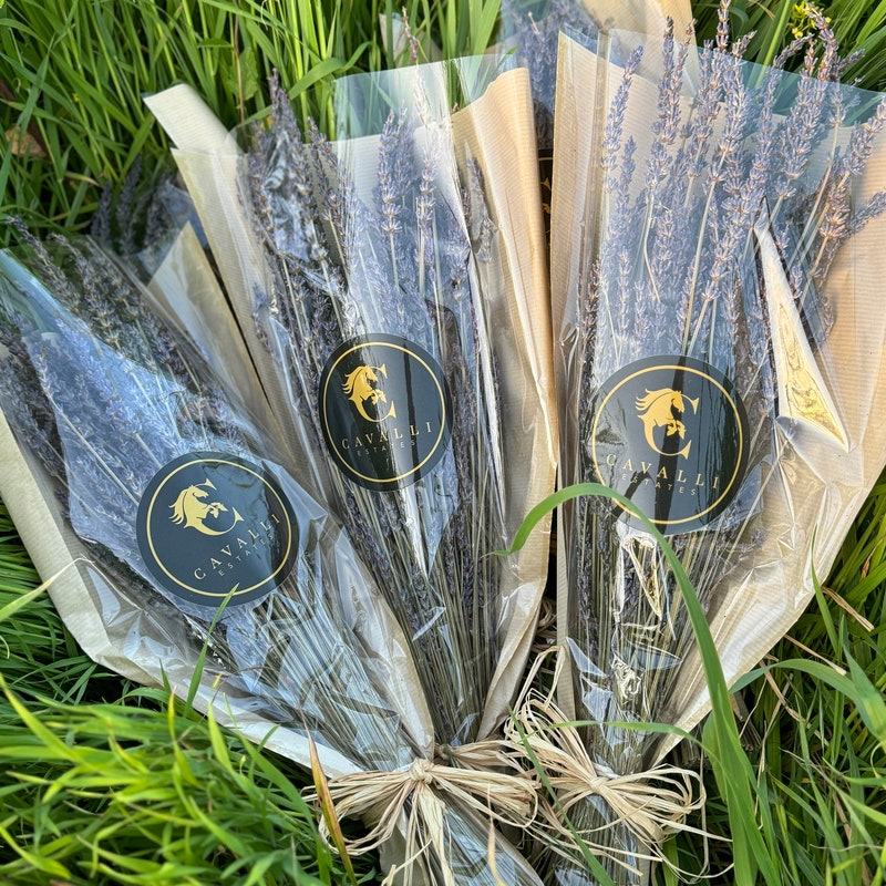 Fragrant Lavender - Etsy