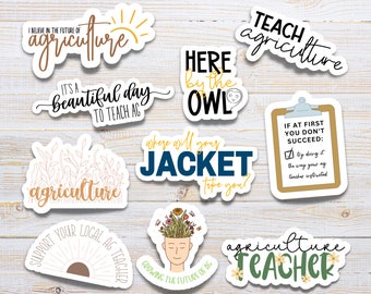 High School Teacher Stickers 10 Pack, White or Clear, Decals, Vinyl ...