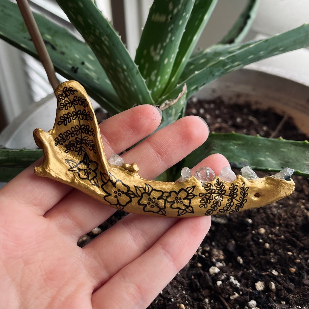 Fox Jaw Painted Bone Painted Fox Jaw Greenery Artwork Home - Etsy