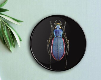 Insect Wall Hanging - Etsy