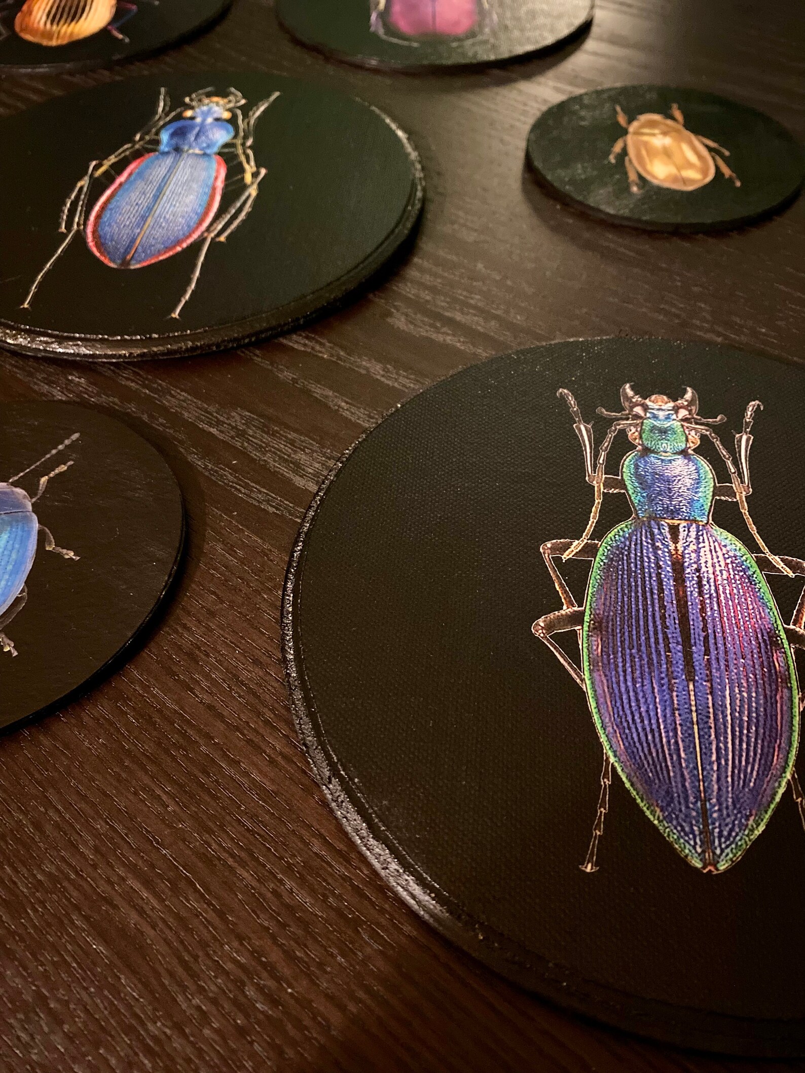 Set of 3 Gold Beetles Wall Decor Insects Round Gold Wall Art - Etsy