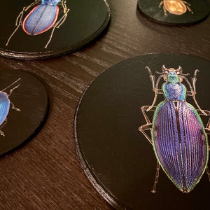 Set of 3 Gold Beetles Wall Decor, Insects Round Gold Wall Art - Etsy