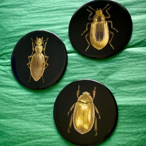 Set of 3 Gold Beetles Wall Decor, Insects Round Gold Wall Art - Etsy