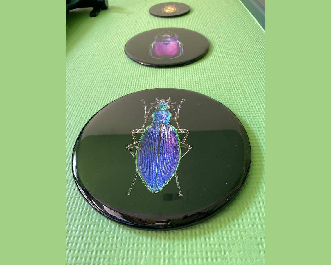 Set of 3 Gold Beetles Wall Decor Insects Round Gold Wall Art - Etsy