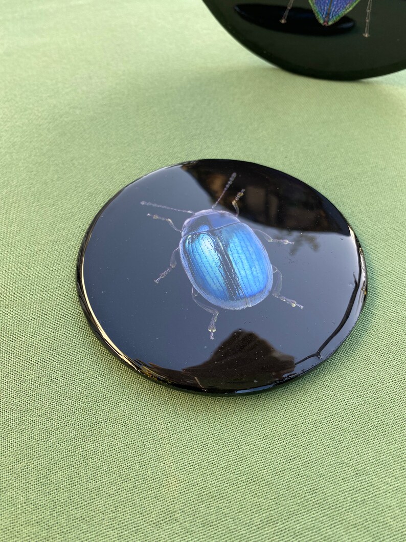 Set of 3 Gold Beetles Wall Decor Insects Round Gold Wall Art - Etsy