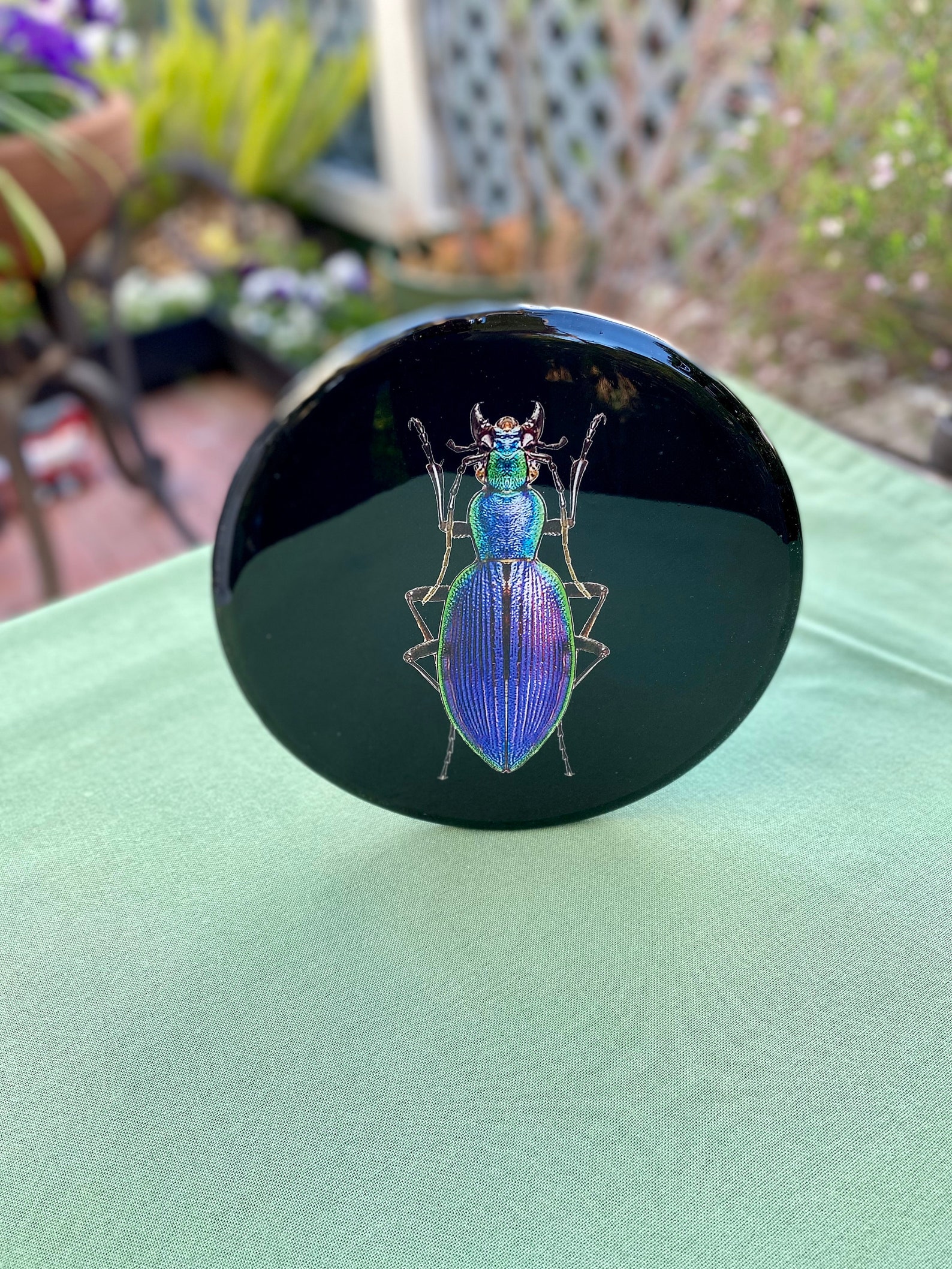 Set of 3 Gold Beetles Wall Decor Insects Round Gold Wall Art - Etsy