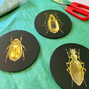 Set of 3 Gold Beetles Wall Decor, Insects Round Gold Wall Art - Etsy