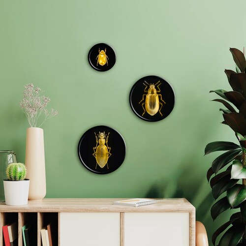 Set of 3 Gold Beetles Wall Decor Insects Round Gold Wall Art - Etsy