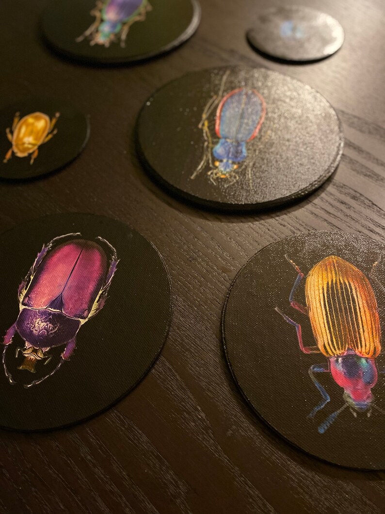 Set of 3 Gold Beetles Wall Decor Insects Round Gold Wall Art - Etsy