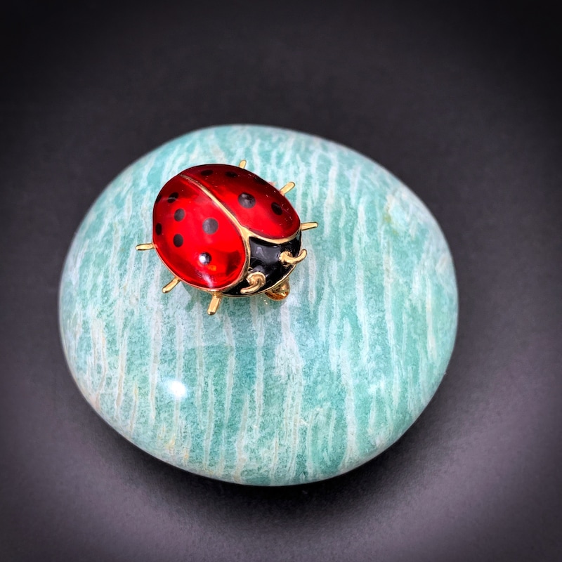 Ladybug Enamel Pin - Etsy
