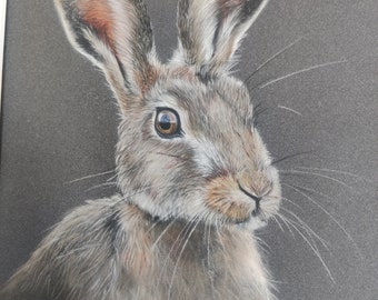 ORIGINAL Pencil Drawing of a HARE, Graphite, Quirky, Original Art ...