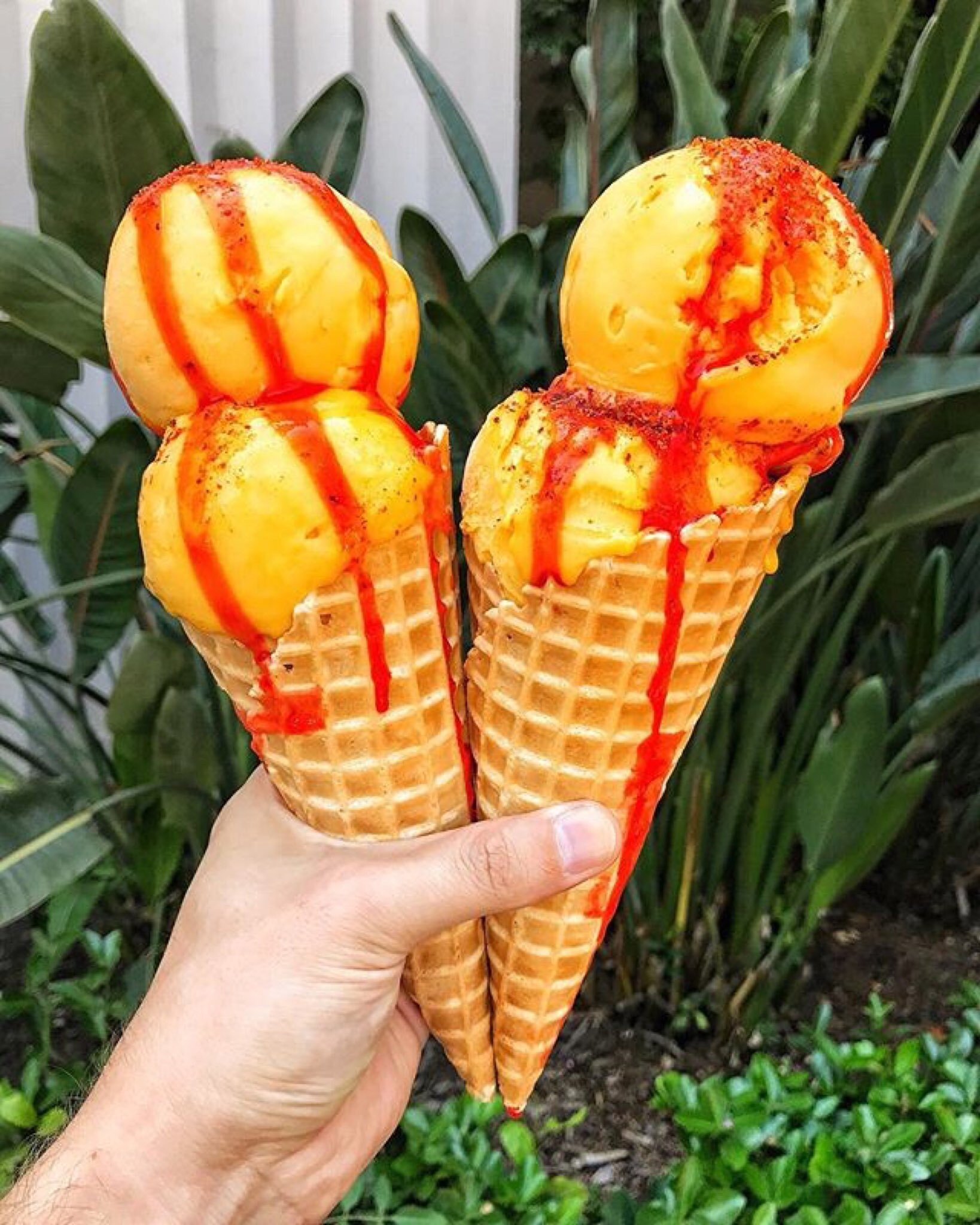 La Helada Oh Chamoy 2 Pack Chamoy Sauce With Fruit Pulp Sweet & Spicy ...