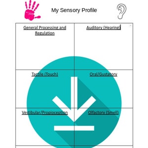 My Sensory Profile Digital Download- Handout, Examples, Tips - Etsy