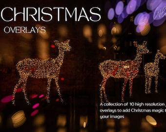 Santa and Elf Hat Overlays, Christmas Overlays, Santa Hat Overlay, Elf ...