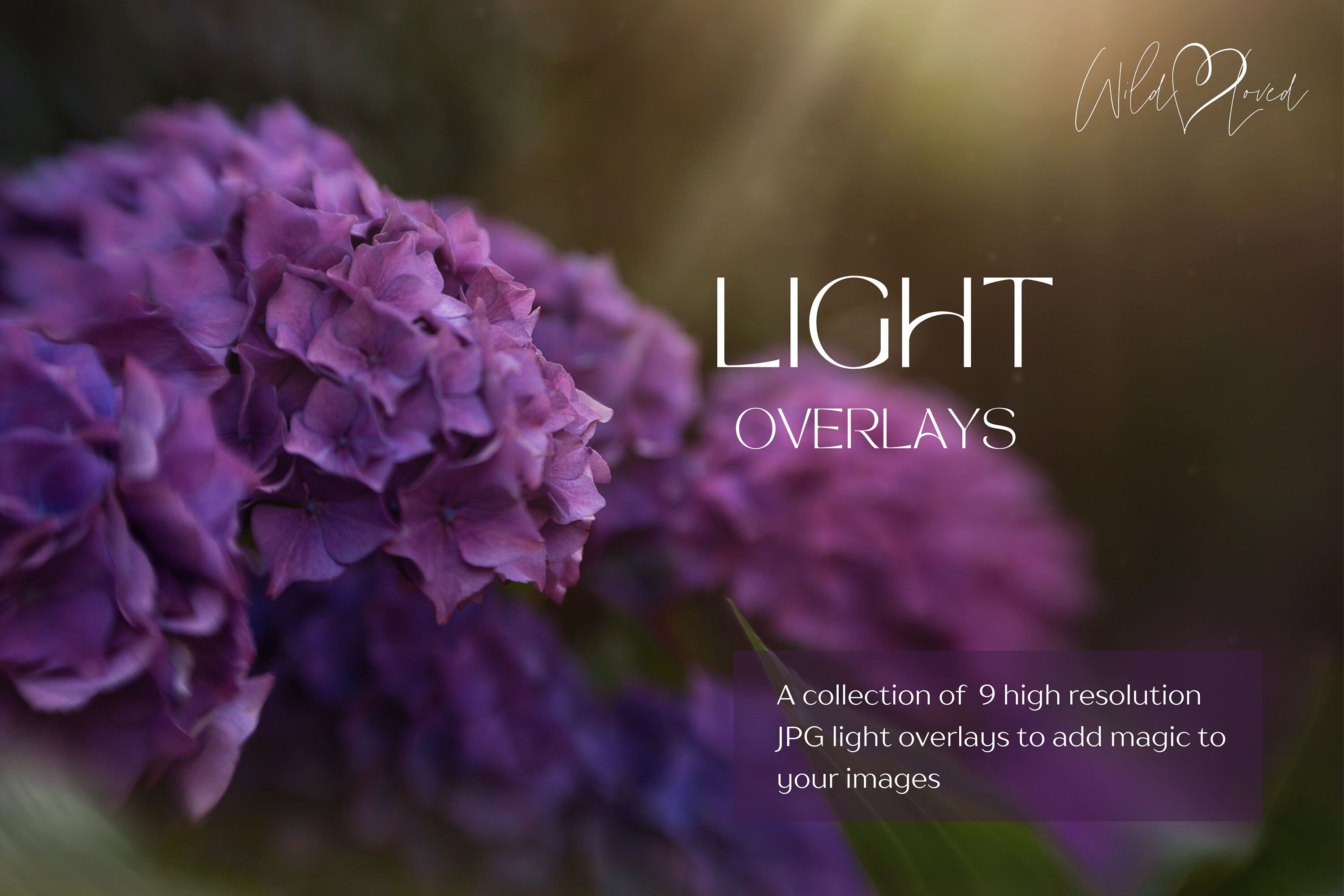 Light Overlays - Etsy