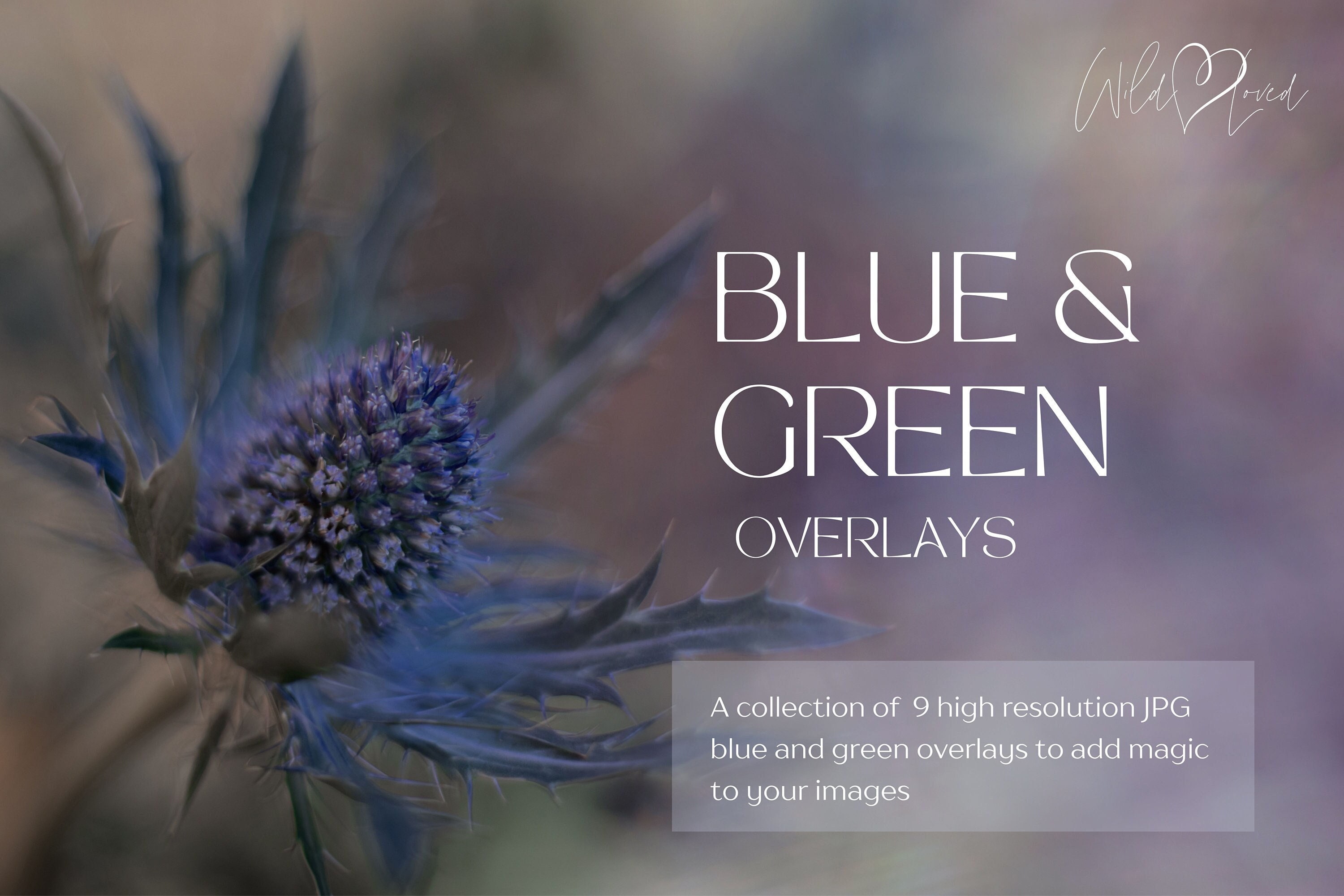 Blue and Green Overlays - Etsy