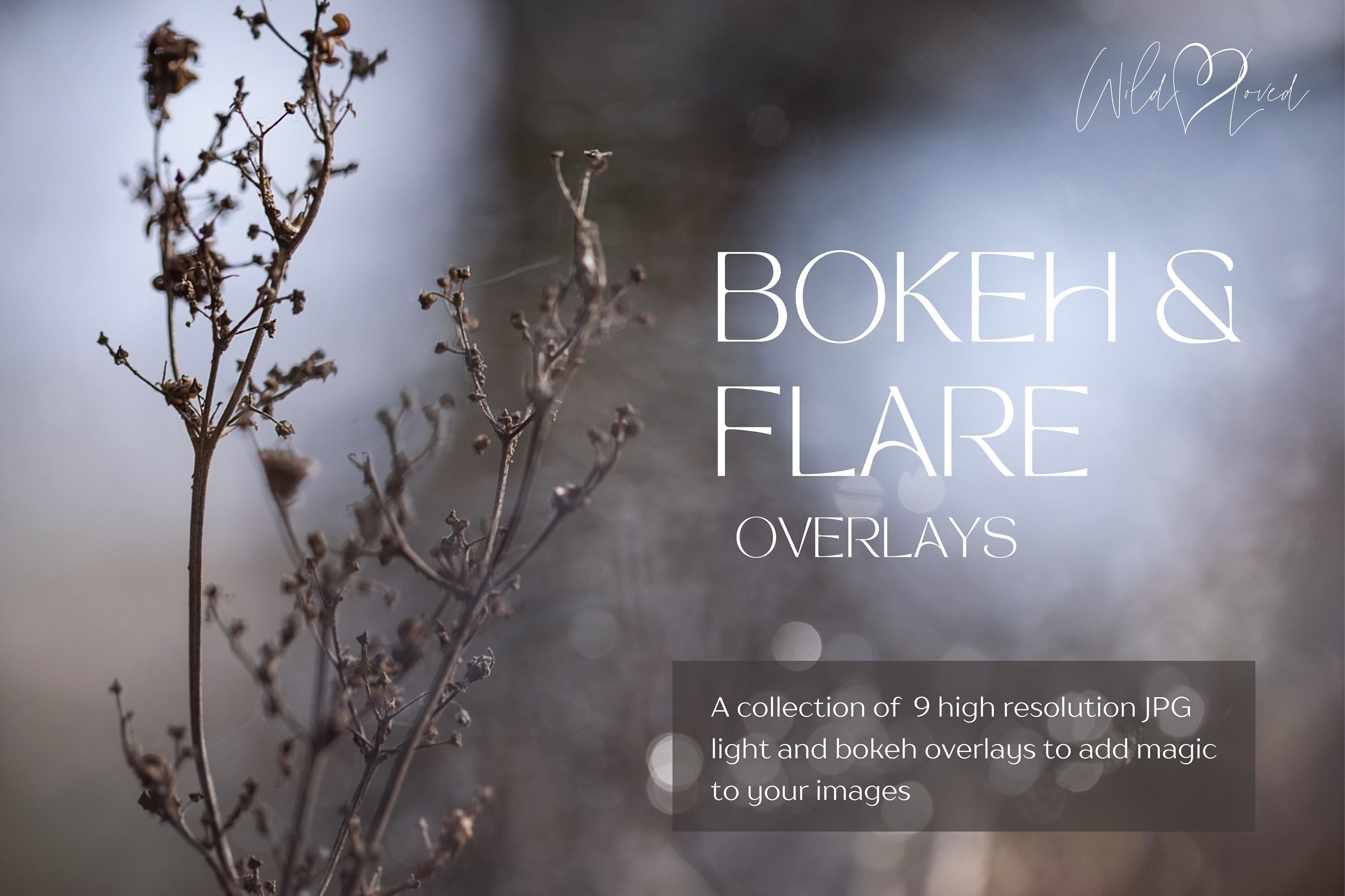 Bokeh and Flare Overlays - Etsy