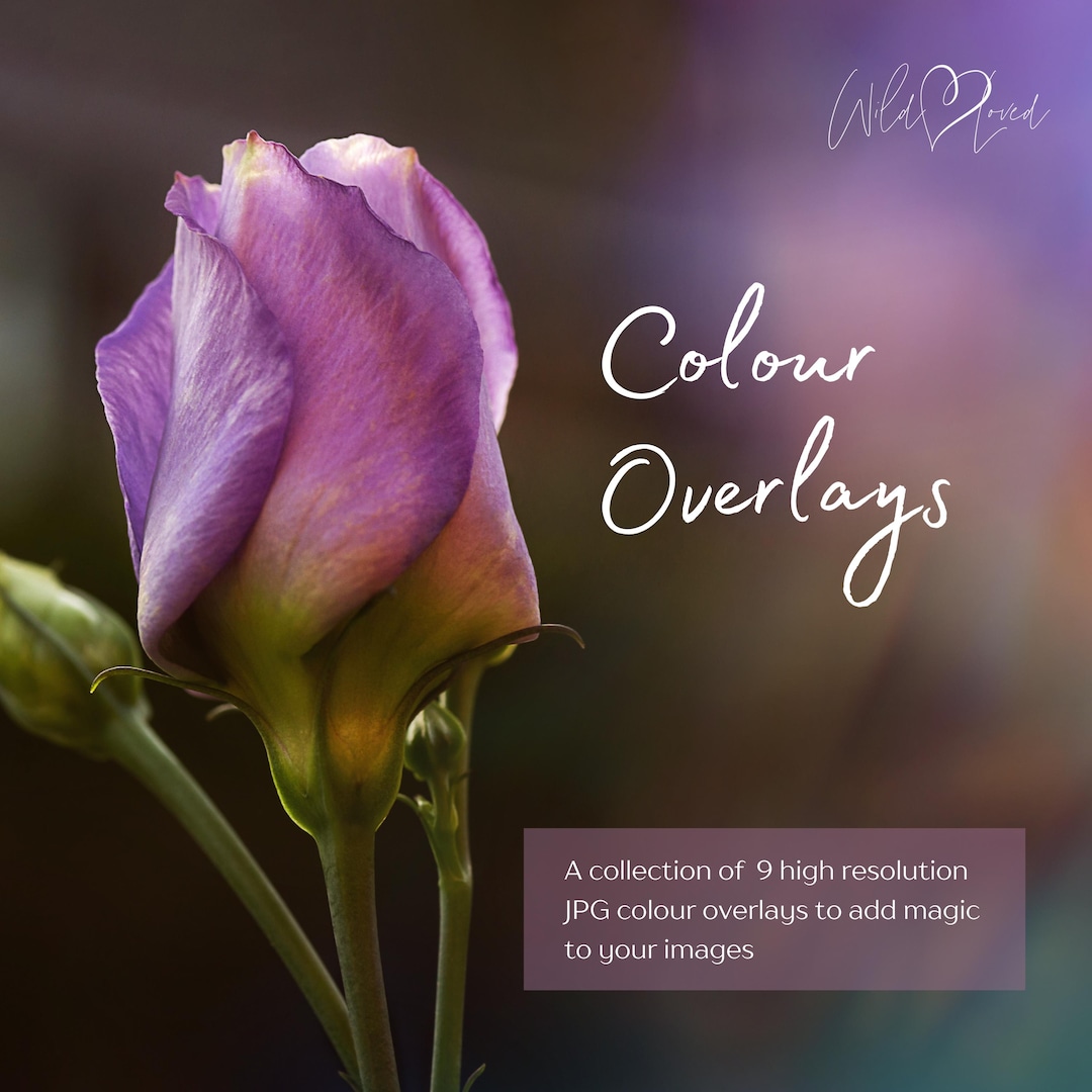 Colour Overlays - Etsy