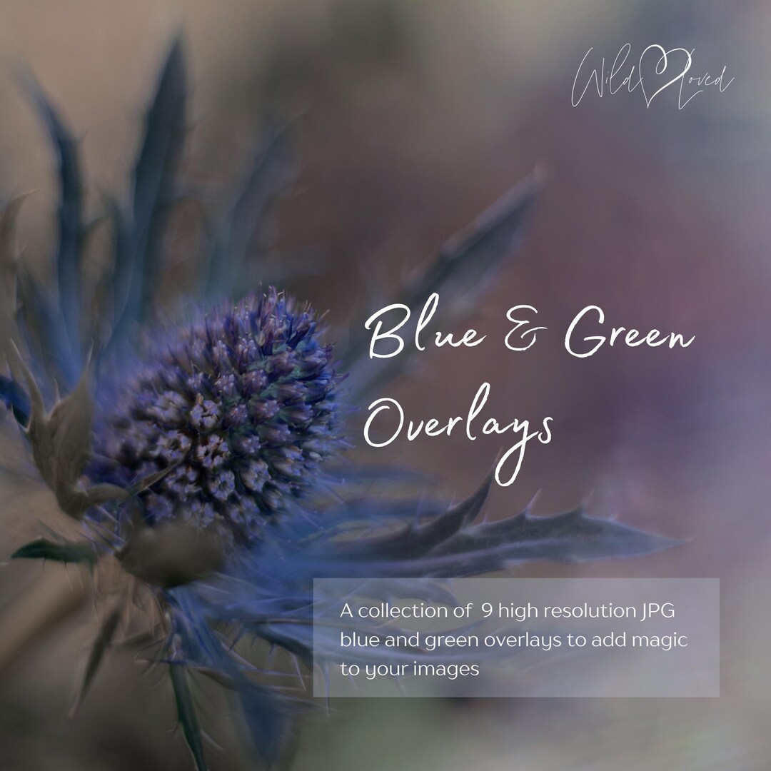 Blue and Green Overlays - Etsy