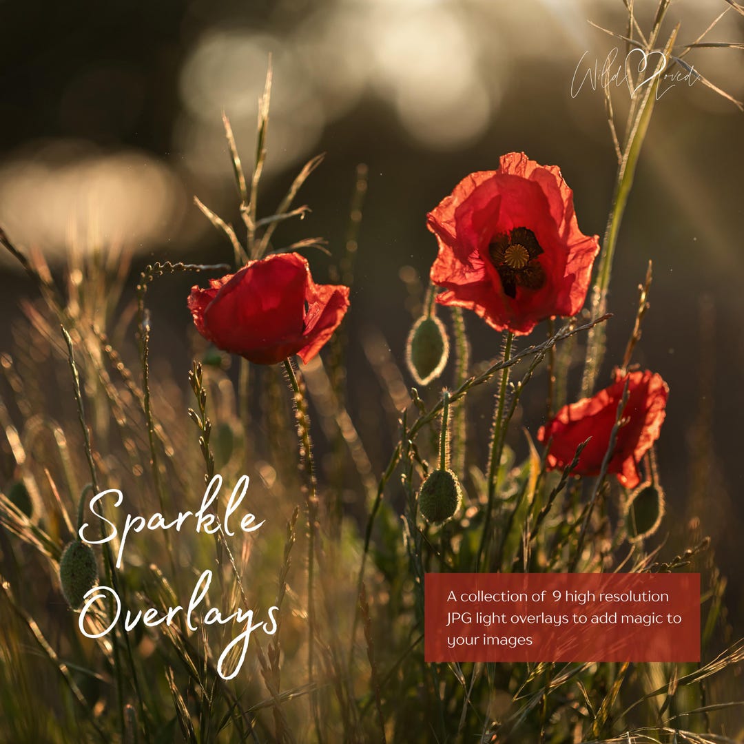 Sparkle Overlays - Etsy