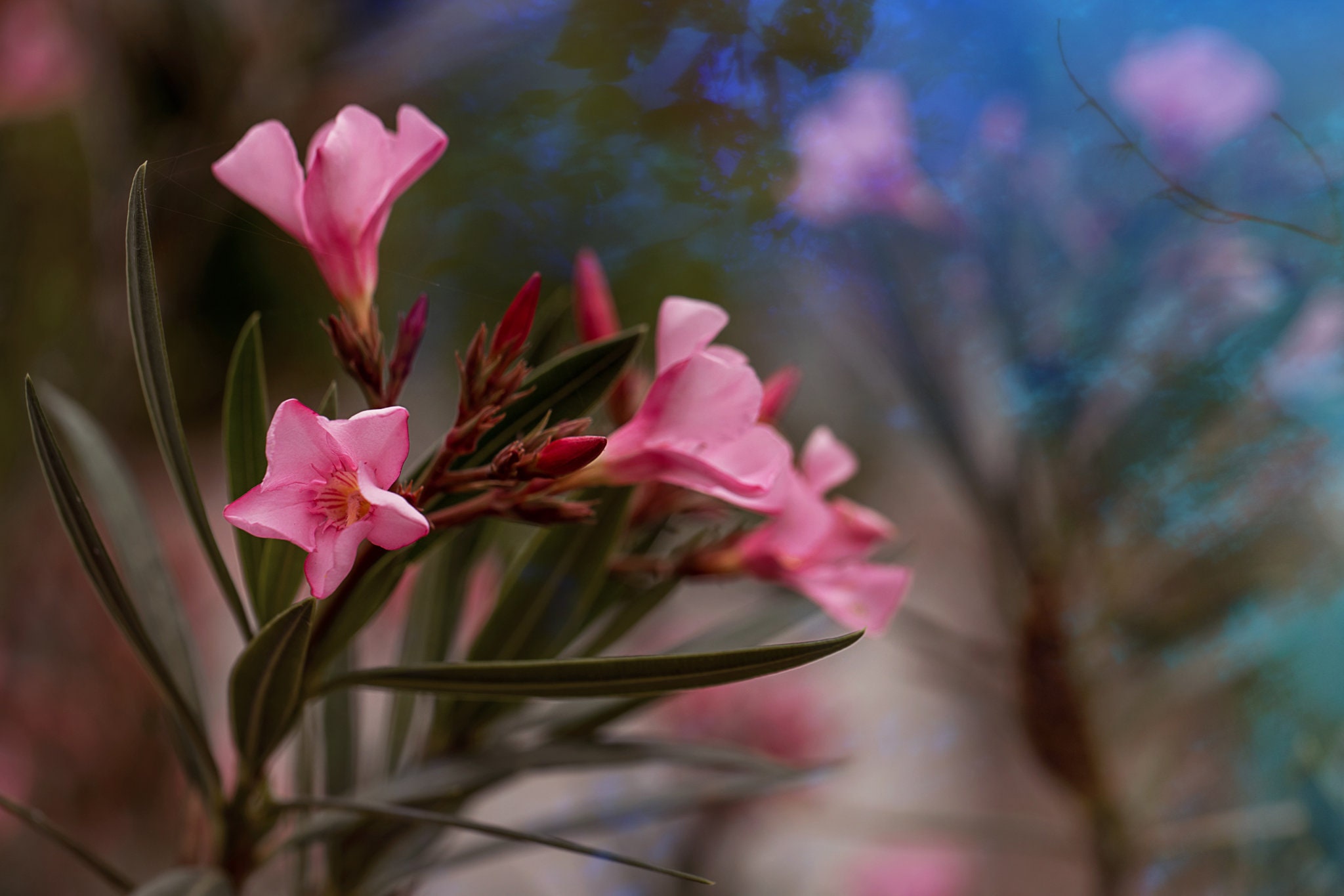 Blue and Green Overlays - Etsy