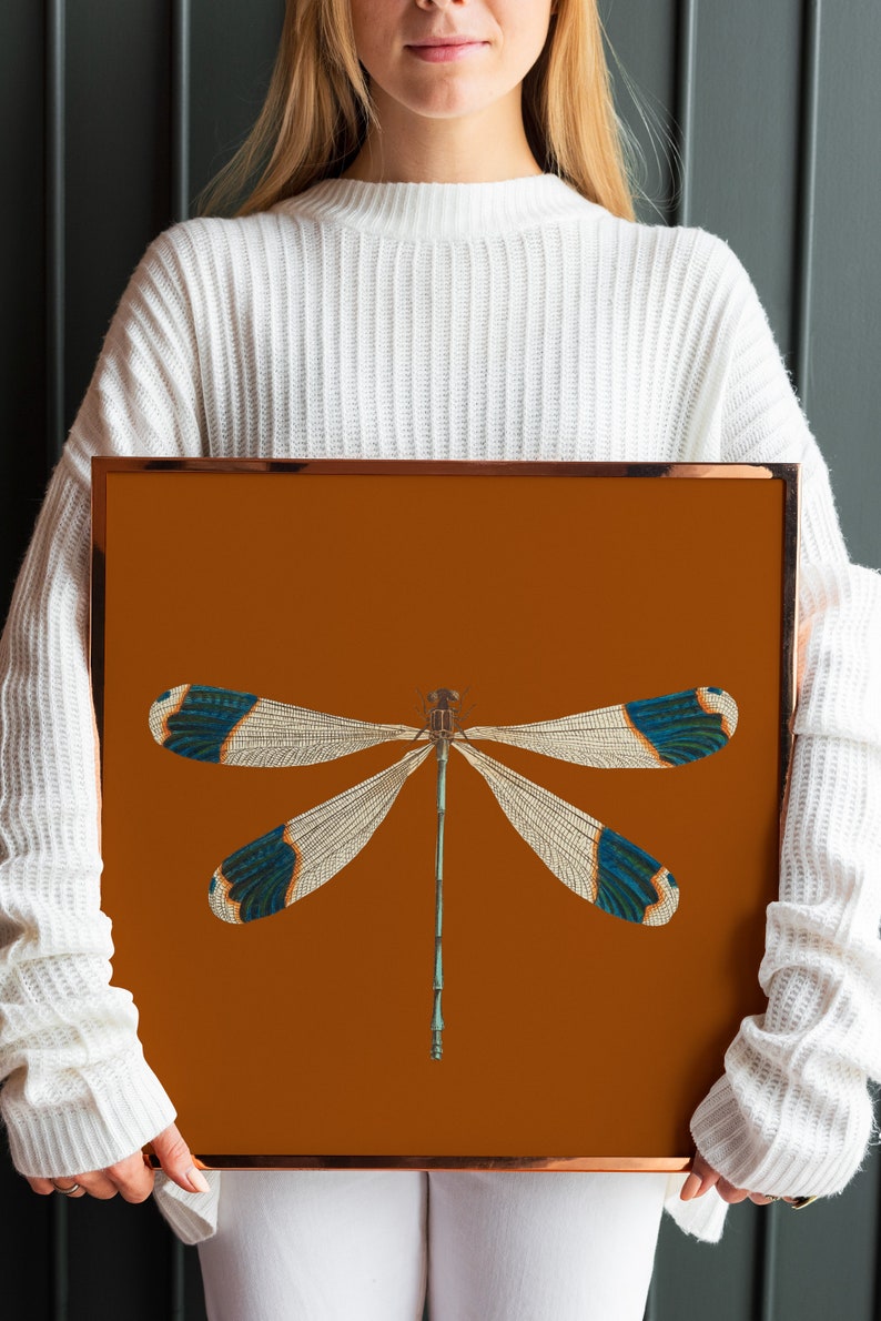 Dragonfly Printable Square Wall Art Vintage Dragonfly Digital - Etsy