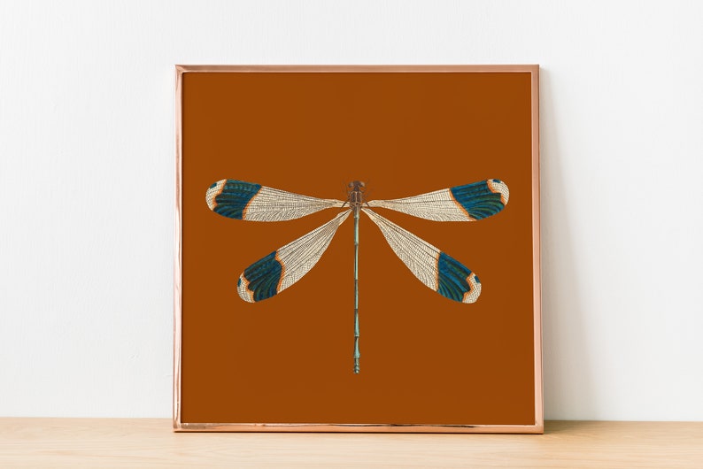 Dragonfly Printable Square Wall Art Vintage Dragonfly Digital - Etsy
