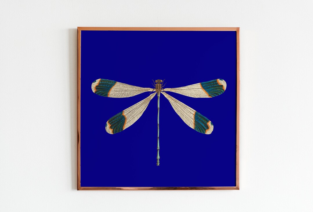 Dragonfly Printable Wall Art, Blue Poster Download, Square Wall Art ...