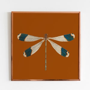 Dragonfly Printable Square Wall Art, Vintage Dragonfly Digital Print ...