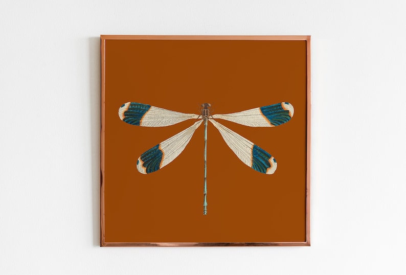 Dragonfly Printable Square Wall Art Vintage Dragonfly Digital - Etsy