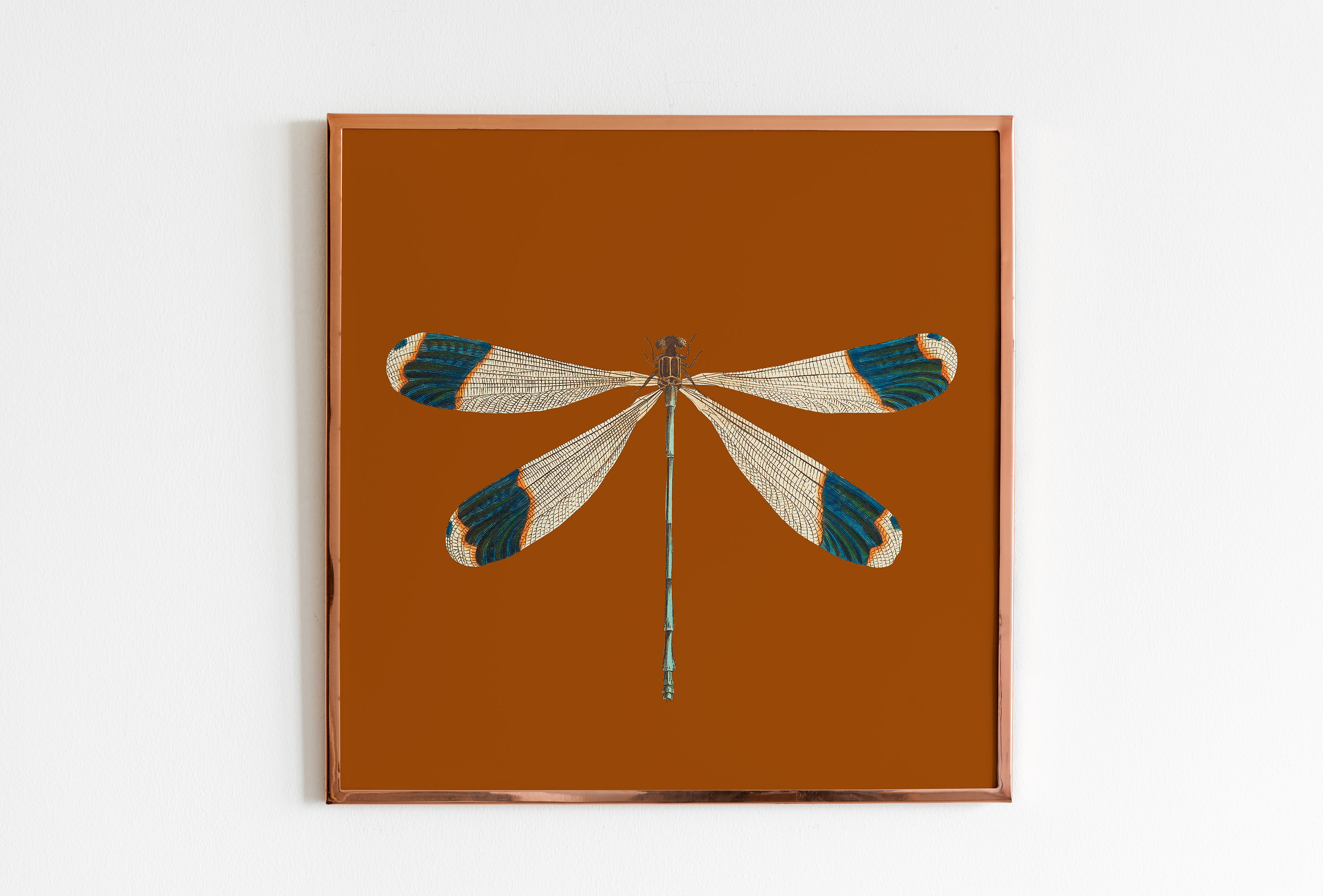 Dragonfly Printable Square Wall Art, Vintage Dragonfly Digital Print ...