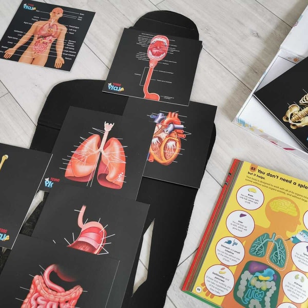 Human Body Kids - Etsy