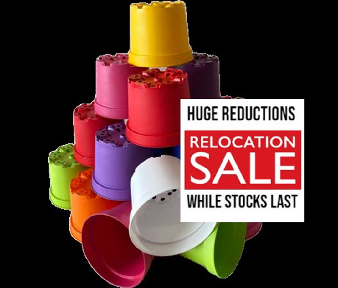 20 X 2 Litre Plant Pots Various Colours Recyclable - Etsy