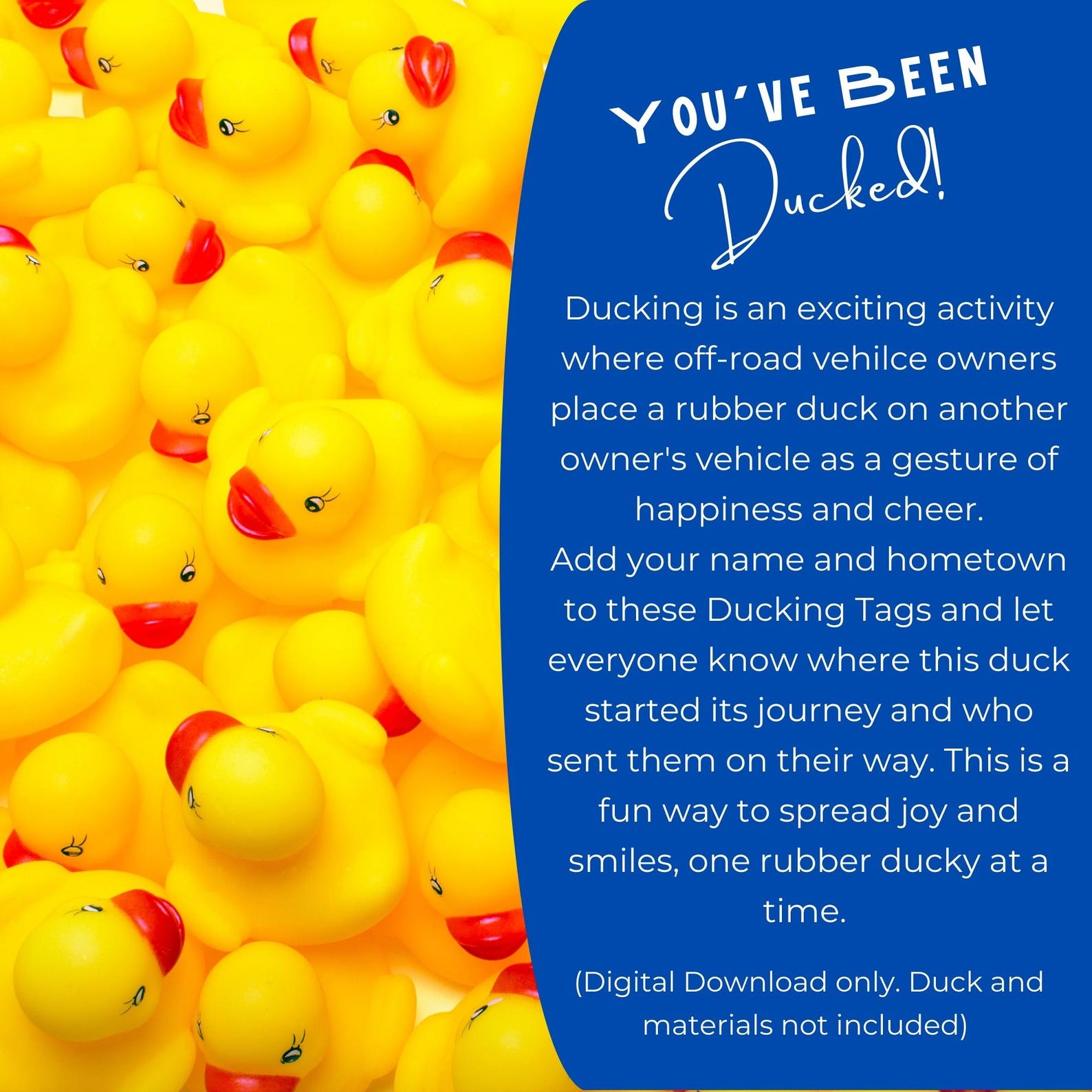 You’ve Been Ducked Printable Ducking Tags, Editable Fillable Template ...