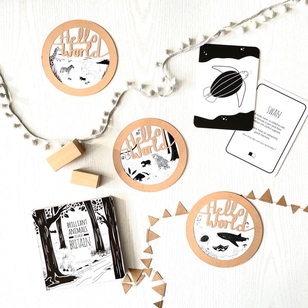 Baby Papercut - Etsy UK