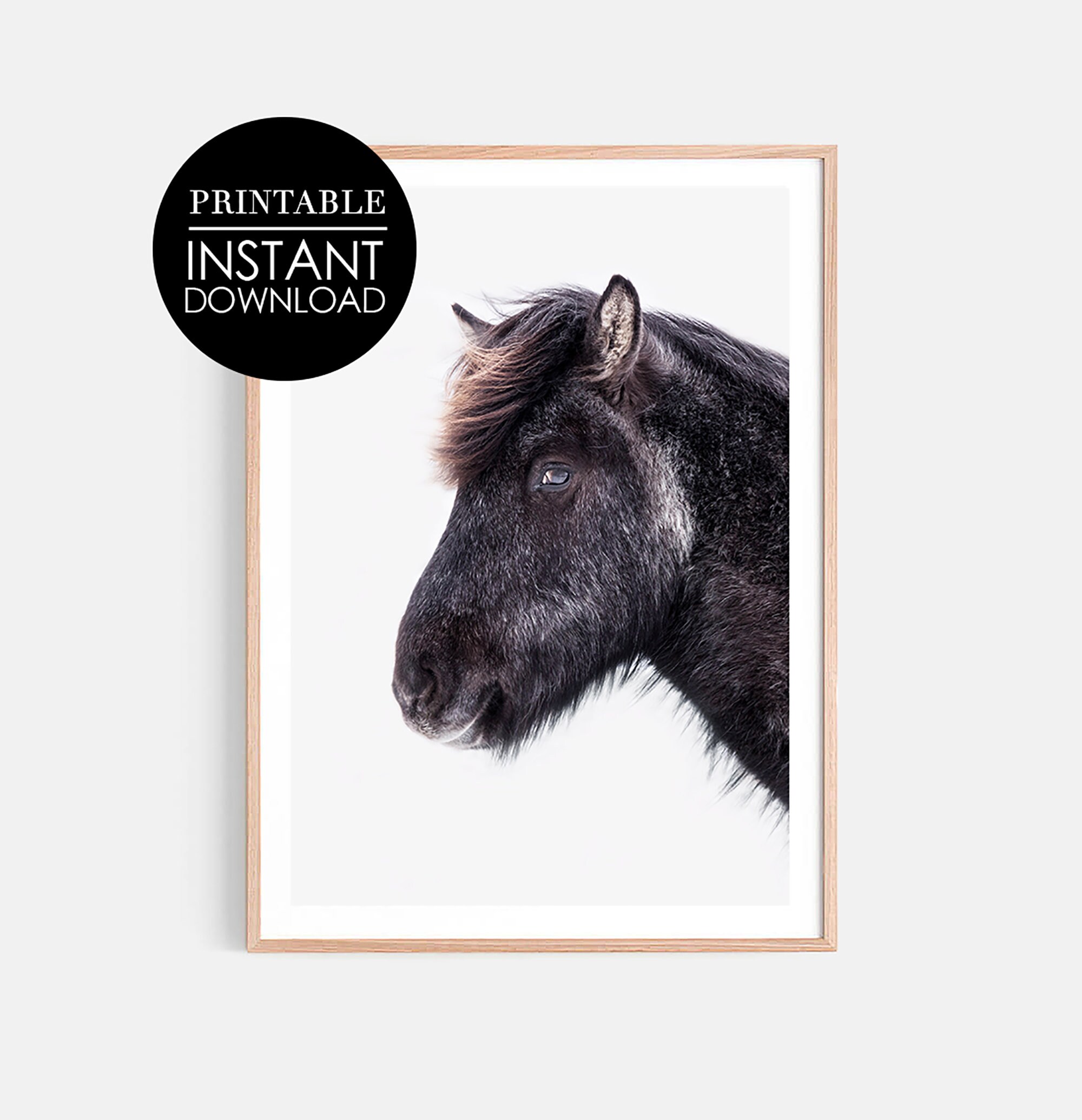 Donkey Wall Art Printable, Farm Animal Poster, Printable Digital ...