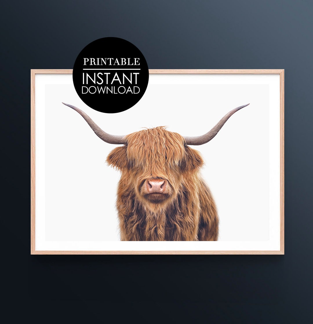 Highland Cow Print, Cow Printable Wall Art, Digital Download, Bull Cow ...