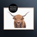 Highland Cow Print, Cow Printable Wall Art, Digital Download, Bull Cow ...